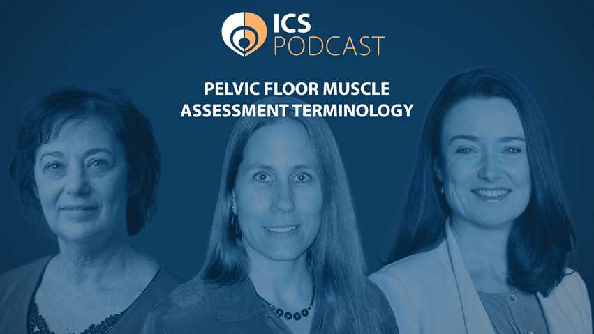 ICS | Pelvic Floor Muscle Assessment Terminology