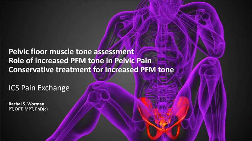 ICS | 3. PFM Tone Assessment: Role in Pelvic Pain and Conservative ...