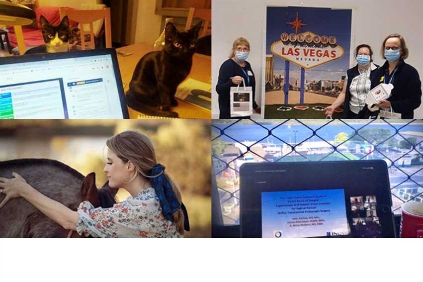 ICS News | ICS 2020 Photo Competitions - Vote for your winner!