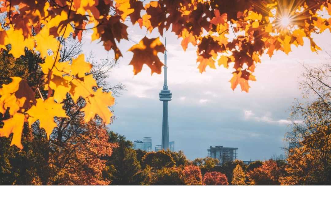 ICS News | Toronto in the fall